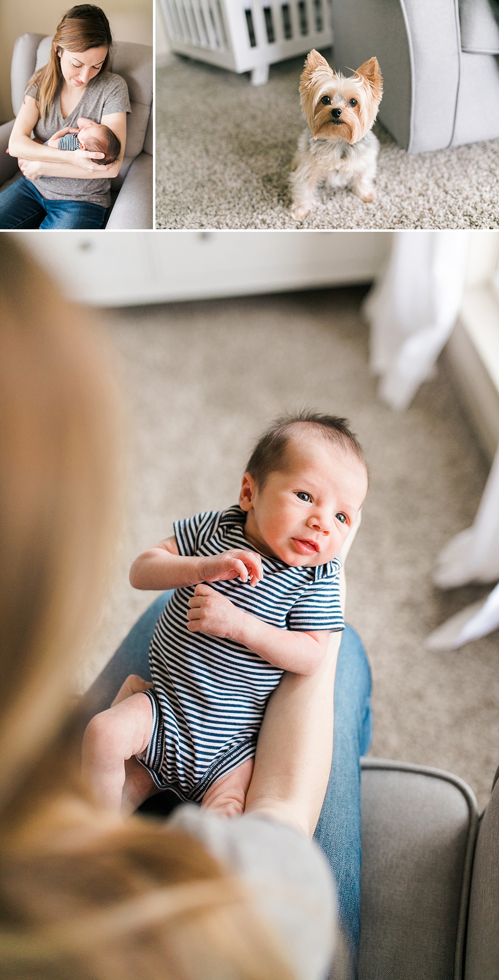 McKinney Photographer | Lifestyle newborn session - Jillian Hogan ...